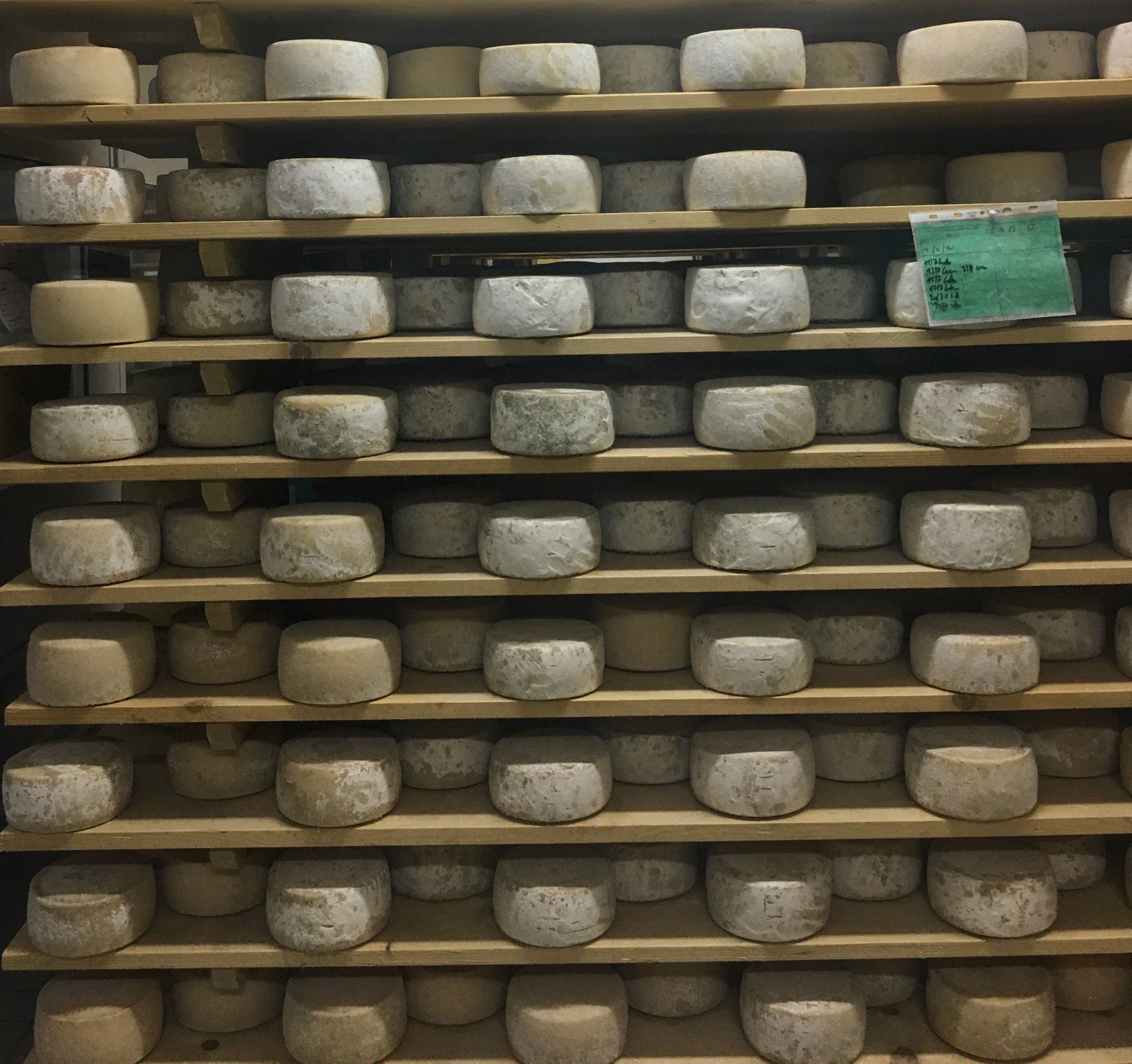 HANDS-ON KOSHER COOKING CLASS IN ROME - Walks Inside Italy