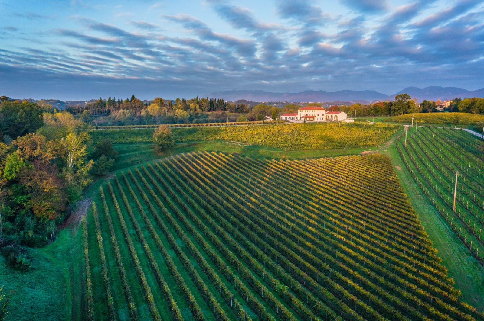 THE BLESSED HILLS OF PROSECCO SUPERIORE - Walks Inside Italy