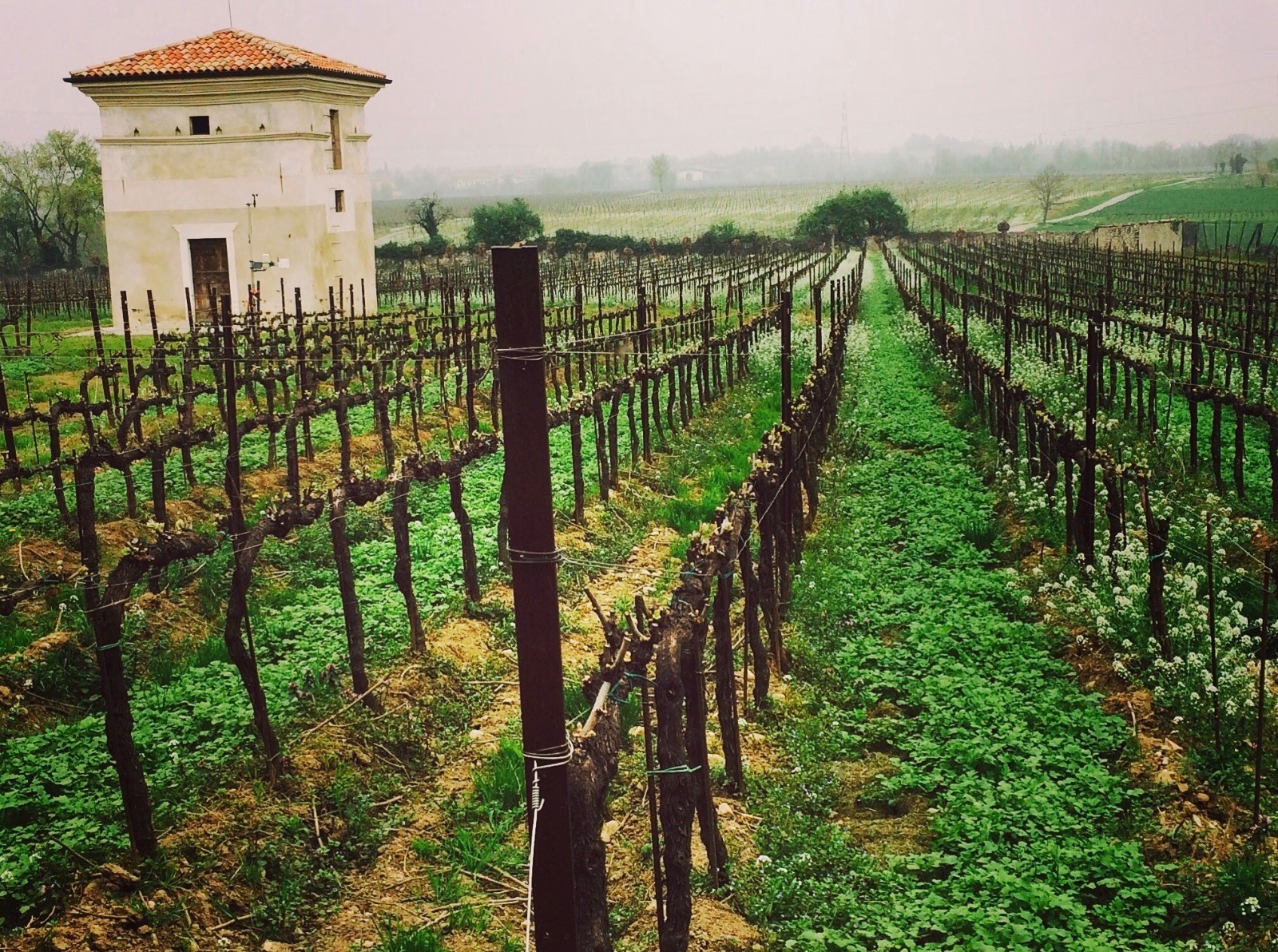 FRANCIACORTA, THE FINE ITALIAN CHAMPAGNE - Walks Inside Italy